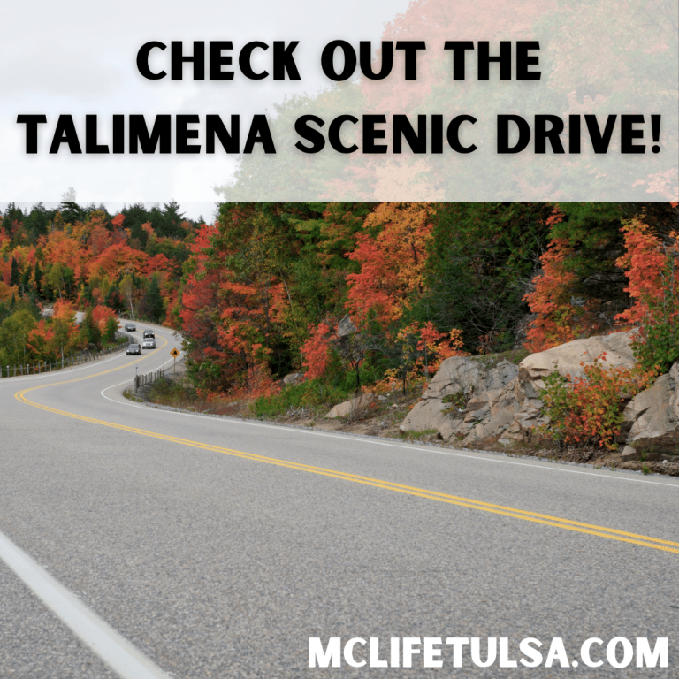 Check Out The Talimena Scenic Drive! - MC Life Tulsa Apartment Communities
